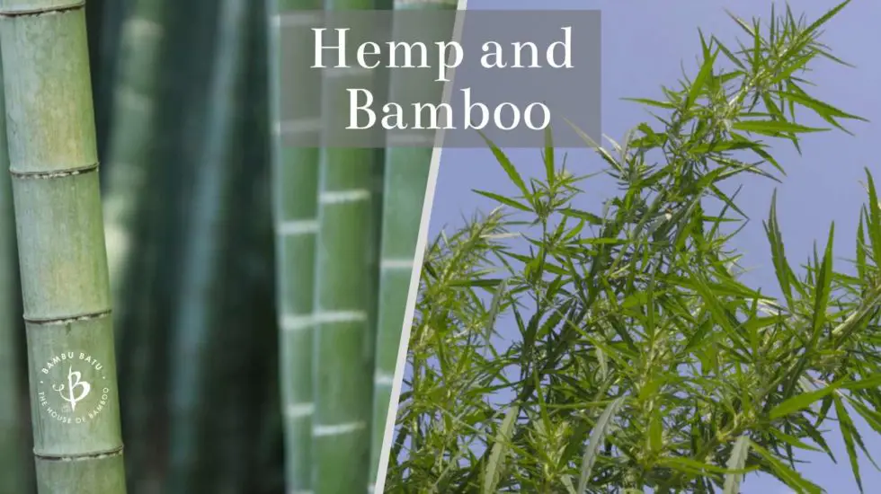 Hemp and Bamboo ultimate comparison - Bambu Batu