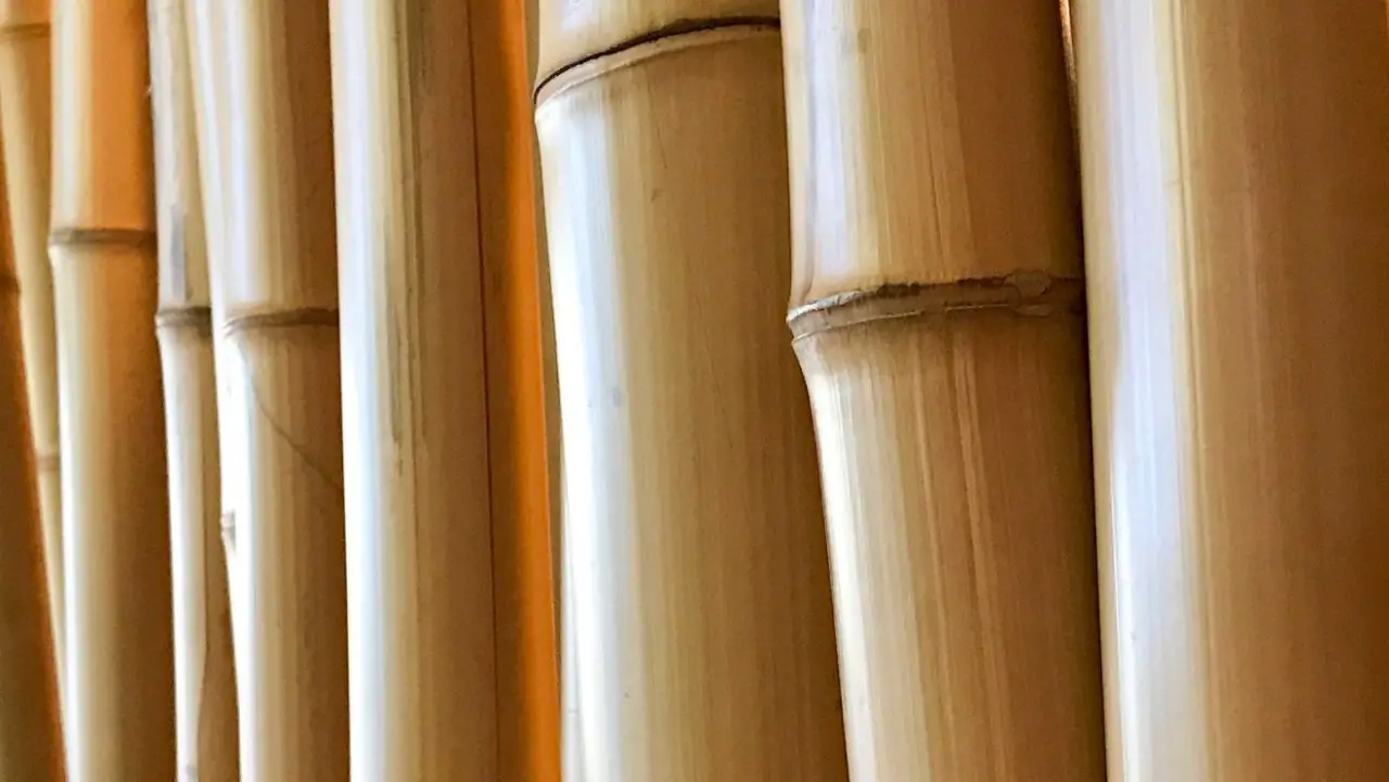 All Things Bamboo | Bambu Batu