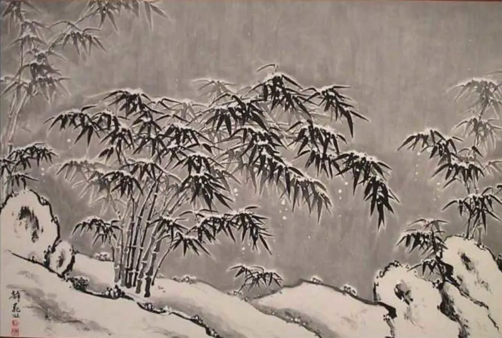 Growing Bamboo in Canada - Bambu Batu