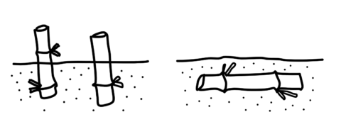 3 Ways of propagating bamboo and one is pretty easy - Bambu Batu