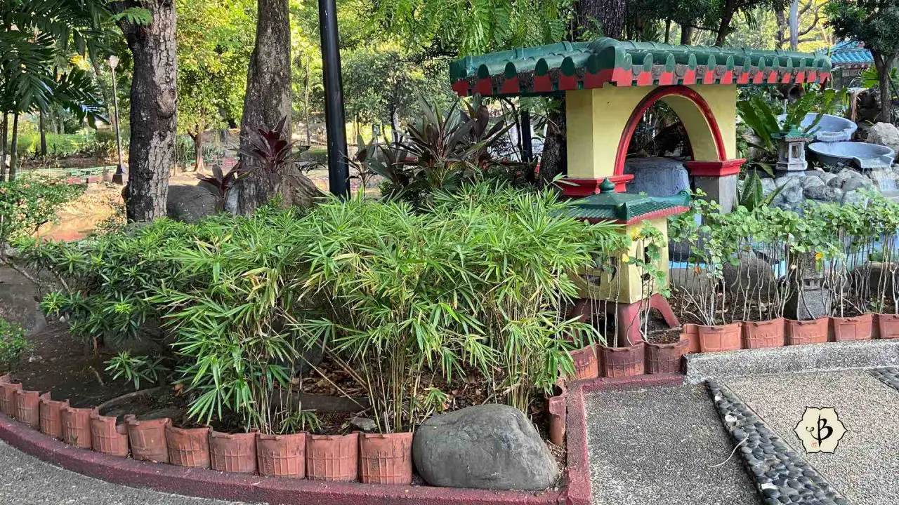 Bamboo in the Philippines: Indigenous Abundance - Bambu Batu