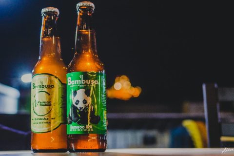 Growing bamboo for profit: Green gold - Bambu Batu