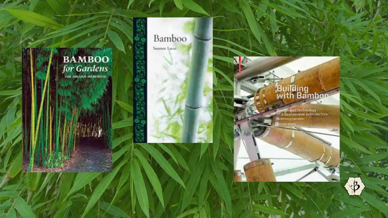 Best Books on Bamboo Gallery - Bambu Batu