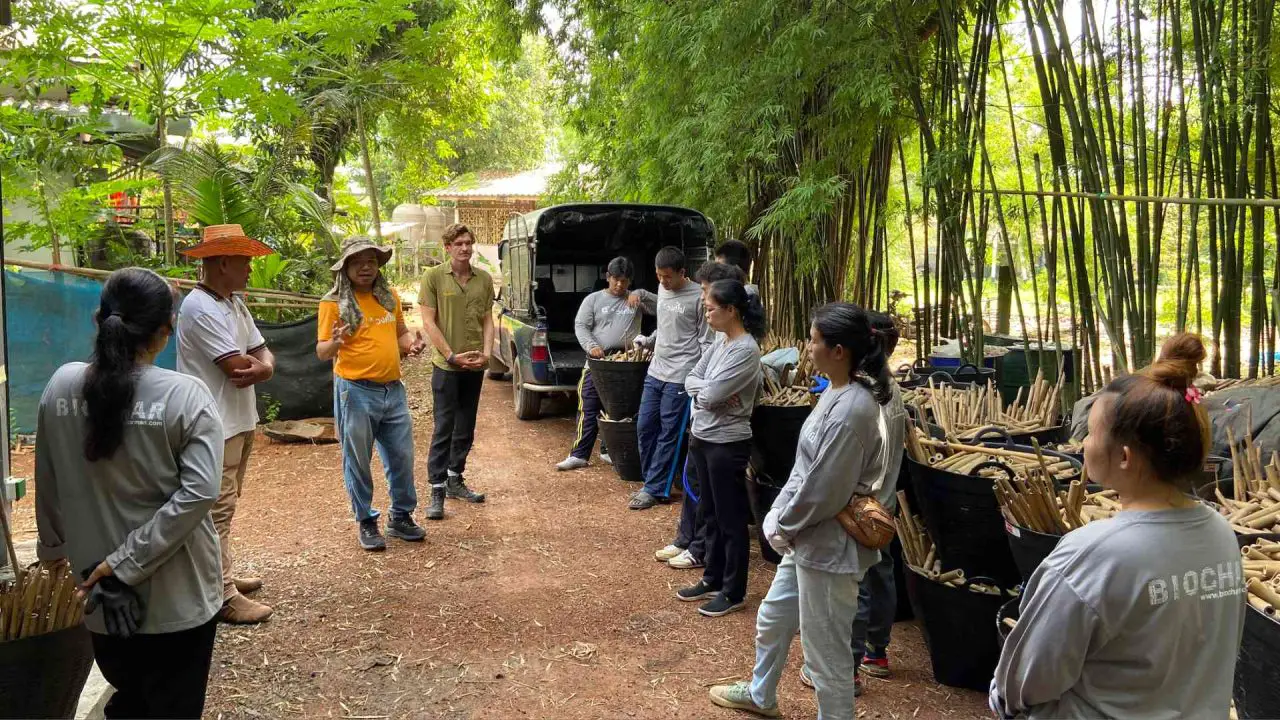 Wanphen bamboo biochar Thailand - Bambu Batu