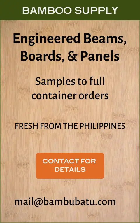 Bambusa malingensis: Seabreeze bamboo and windbreak varieties - Bambu Batu