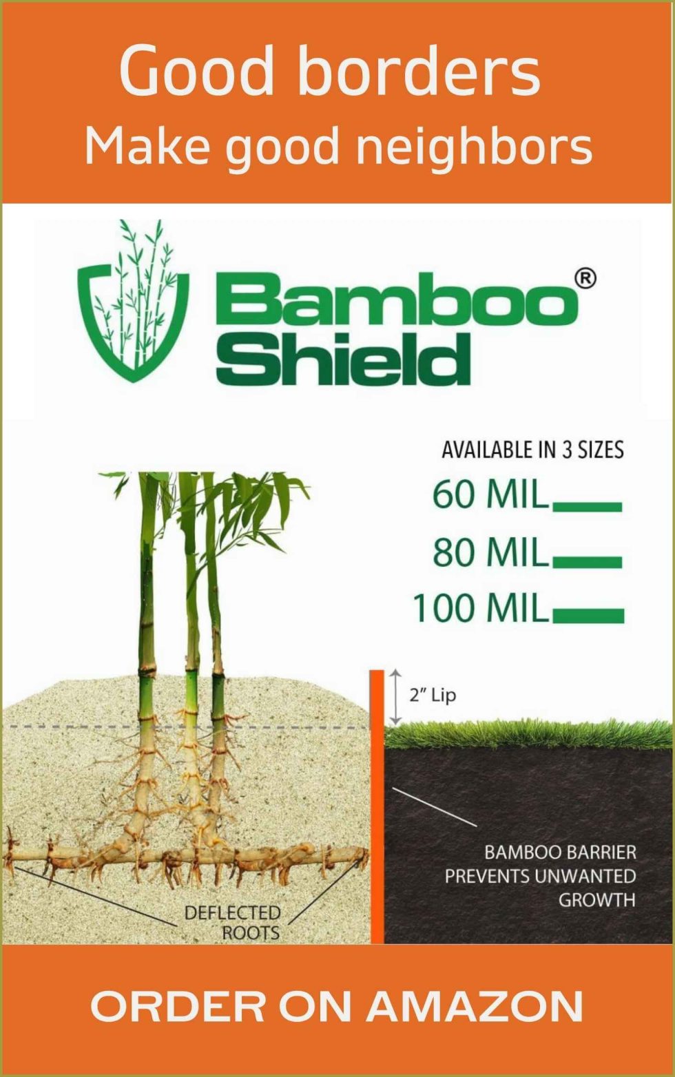 Growing Bamboo in Canada - Bambu Batu